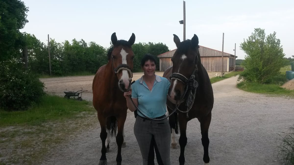 Tierpraxis Blog - Die mobile Tierheilpraxis in München